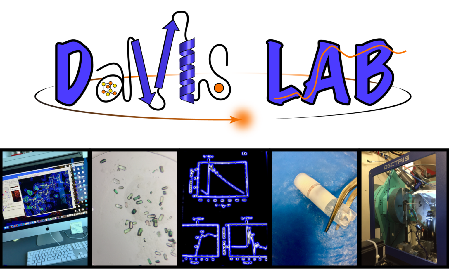 The Davis Lab